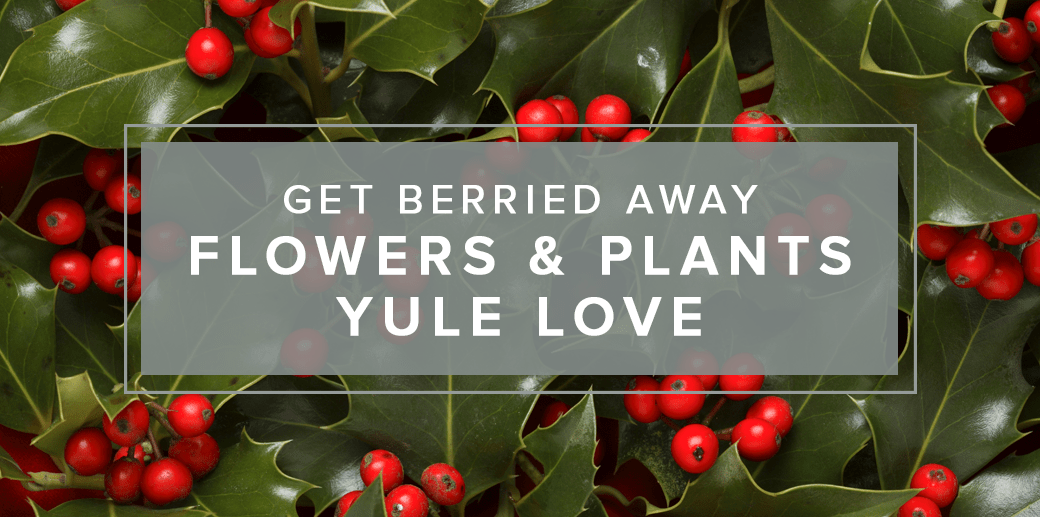 🎁Ah Sam's Expert Tips & Gifts for the Holiday Season🎄 - Ah Sam Floral Co.